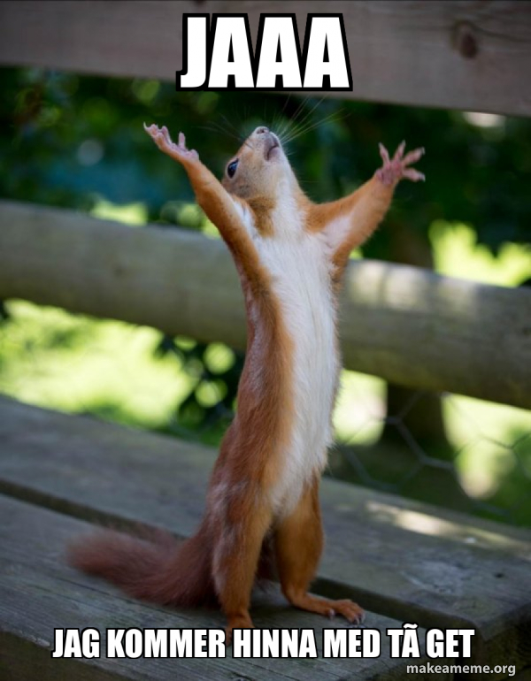 JAAA Jag kommer hinna med tåget - Happy Squirrel Meme Generator