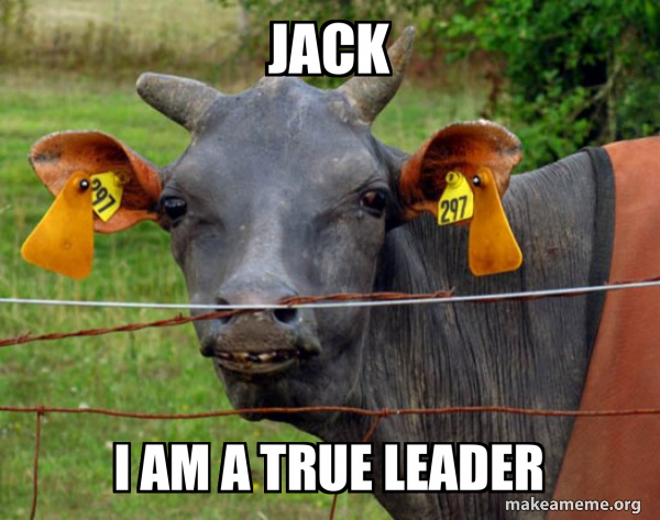 jack i am a true leader - Hairless Cow Meme Generator