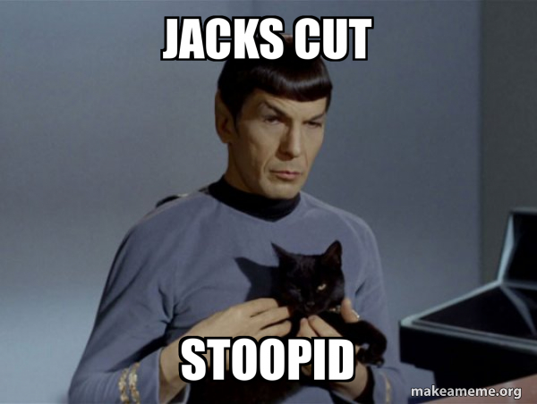 jacks cut stoopid - Spock and Cat Meme Meme Generator