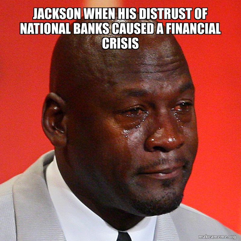 Jackson when his distrust of national banks caused a financial crisis ...
