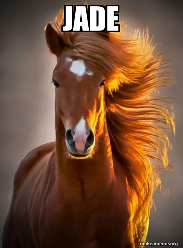 Jade - Ridiculously photogenic horse Meme Generator