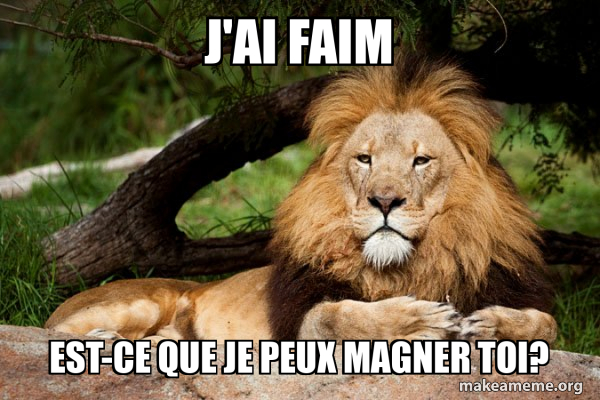 J'ai faim Est-ce que je peux magner toi? - Contemplative Lion Meme ...