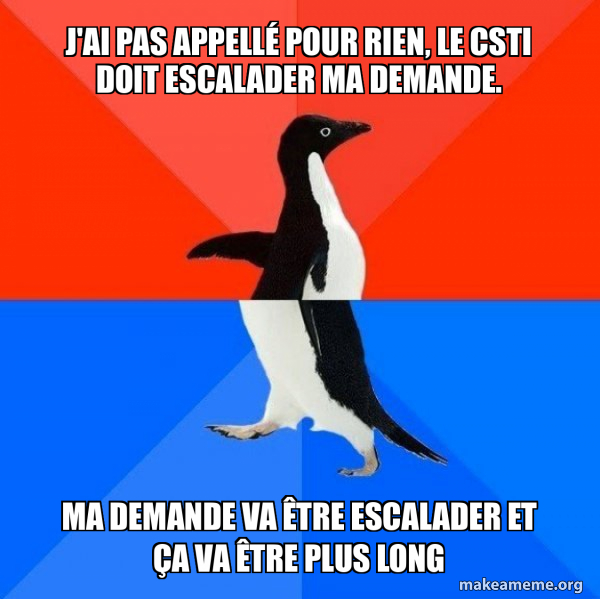 j'AI PAS APPELLÉ POUR RIEN, LE csti DOIT ESCALADER MA DEMANDE. mA ...