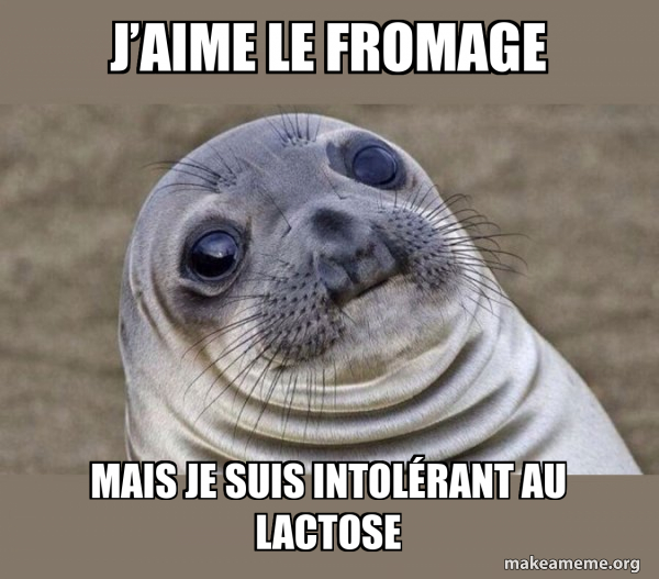 J’aime le fromage Mais je suis intolérant au lactose - Squeamish Seal ...