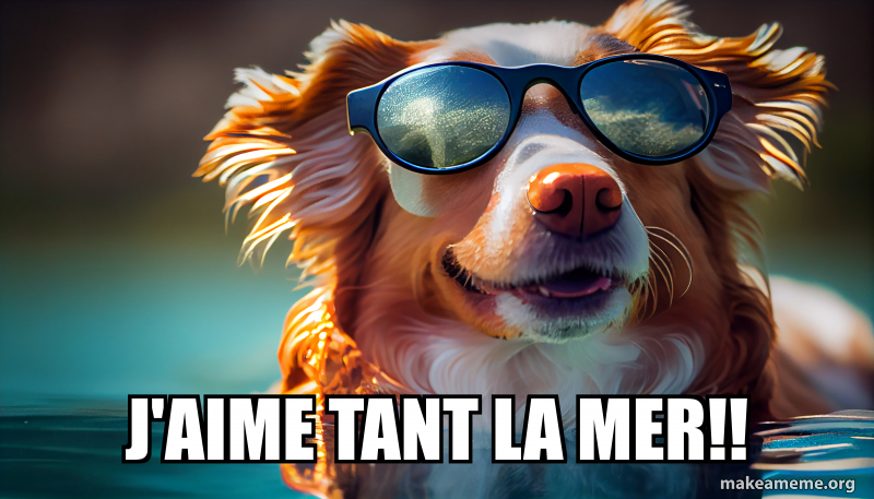 j'aime tant la mer!! Meme Generator
