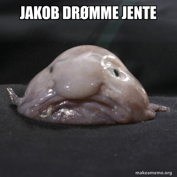 jakob drømme jente - Blobfish Meme Generator