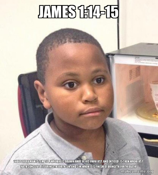 James 1:14-15 14But every man is tempted, when he is drawn away of his ...
