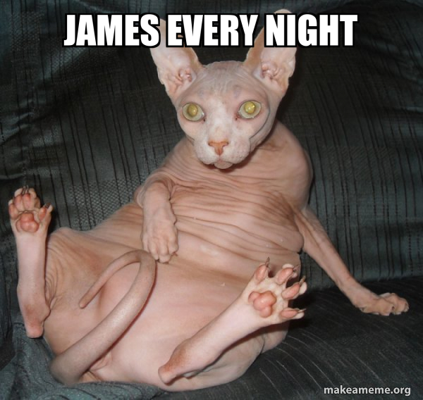 james every night - Hairless Cat Meme Generator