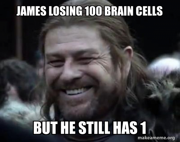 James losing 100 brain cells But he still has 1 - Happy Ned Stark Meme ...