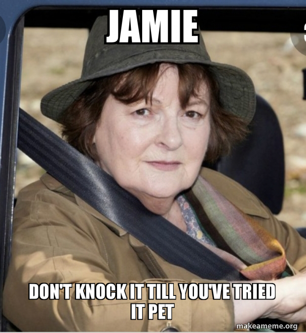 Jamie Don't KNOCK it till you've tried it pet Meme Generator