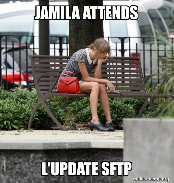 Jamila attends L'update SFTP - Sad Taylor Swift Meme Generator