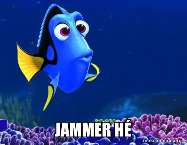 jammer hé - Dory from Nemo (5 second memory) Meme Generator
