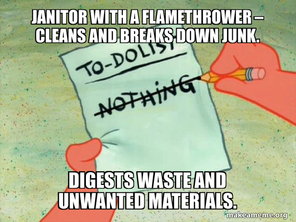 Janitor with a flamethrower – cleans and breaks down junk. Digests ...