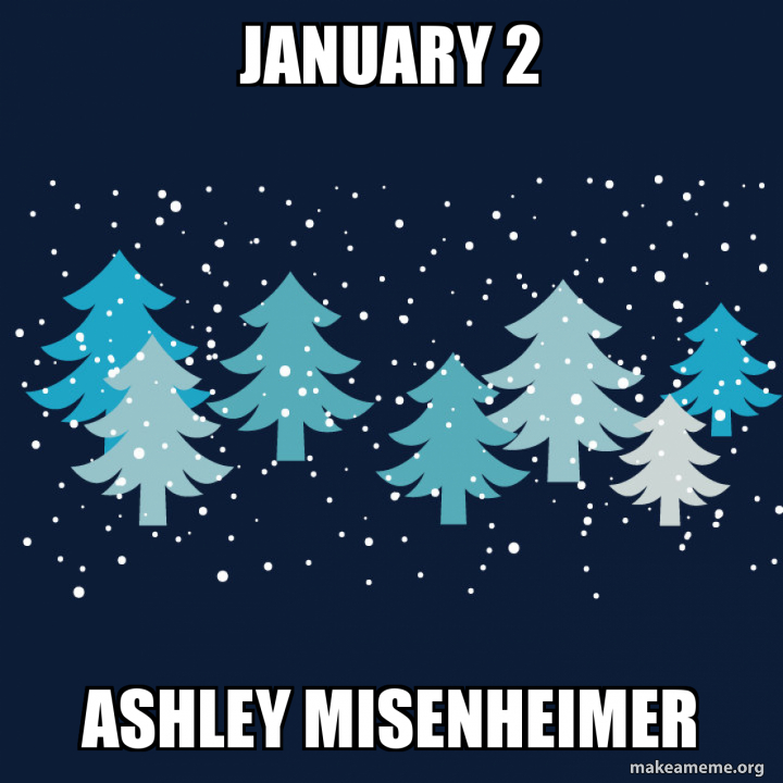 JANUARY 2 ASHLEY MISENHEIMER Meme Generator