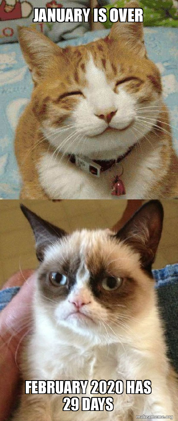 January is over February 2020 has 29 days - Grumpy Cat vs Happy Cat ...
