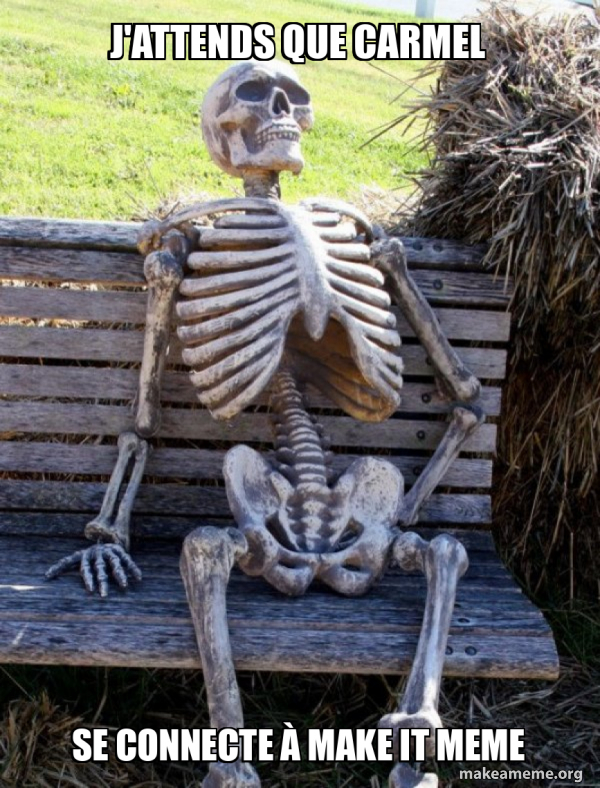 J'attends que Carmel Se connecte à make it meme - Waiting Skeleton Meme ...