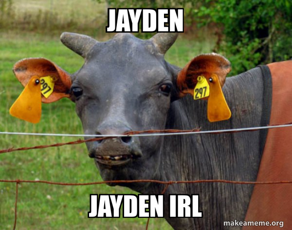 jayden jayden IRL - Hairless Cow Meme Generator