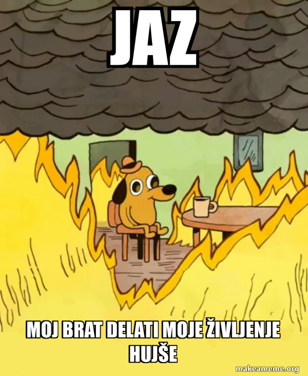 Jaz Moj brat delati moje življenje hujše - This Is Fine Meme Generator