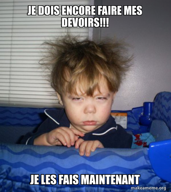 je dois encore faire mes devoirs!!! je les fais maintenant - Monday ...