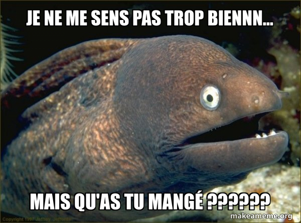 je ne me sens pas trop biennn... mais qu'as tu mangé ?????? - Bad Joke ...