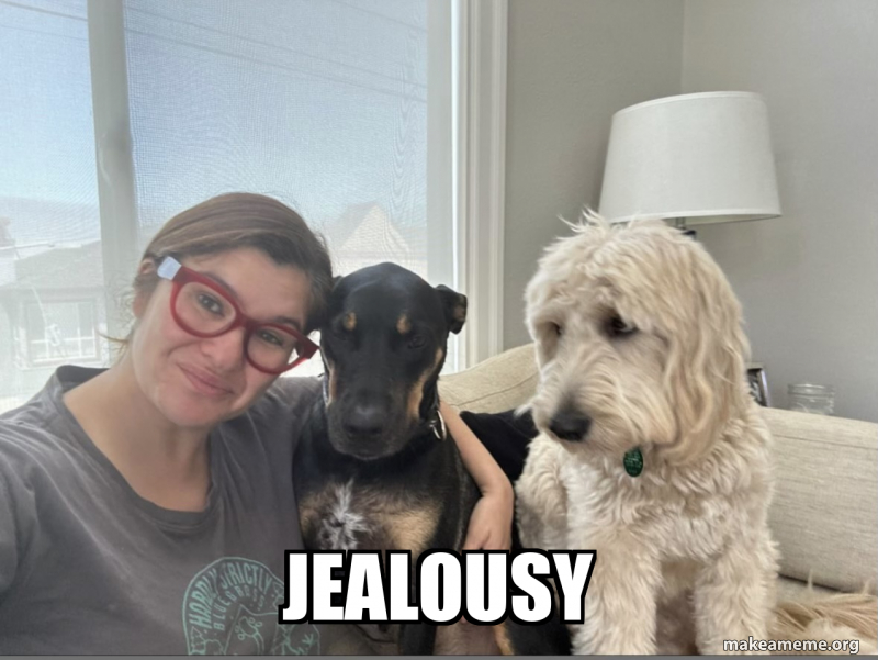 Jealousy Meme Generator