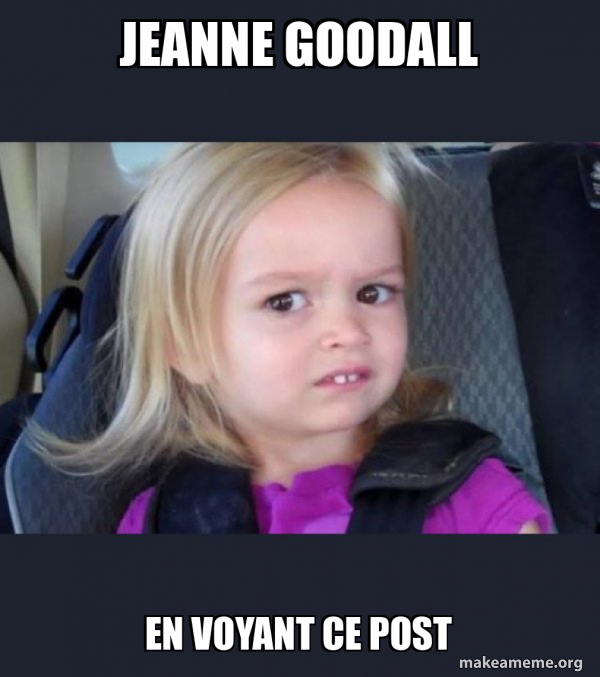 Jeanne Goodall En voyant ce post - Side-Eyes Chloe Meme Generator