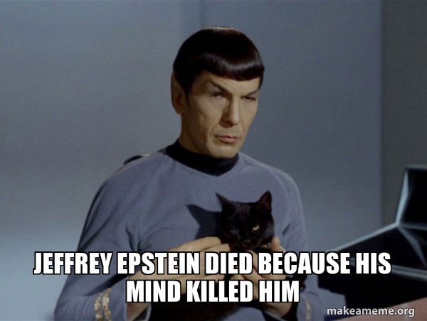 Jeffrey Epstein Died Because His Mind Killed Him - Spock and Cat Meme ...