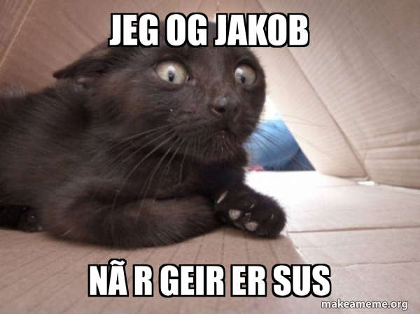 jeg og jakob når geir er sus - Schitzo Cat Meme Generator