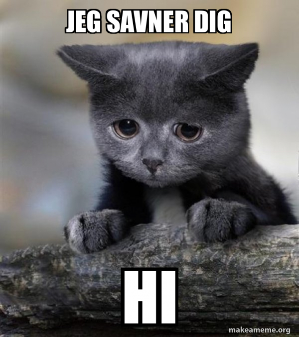Jeg savner dig Hi - Confession Cat Meme Generator