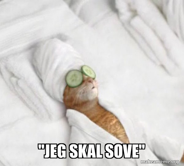 "jeg skal sove" - Pampered Cat Meme Meme Generator