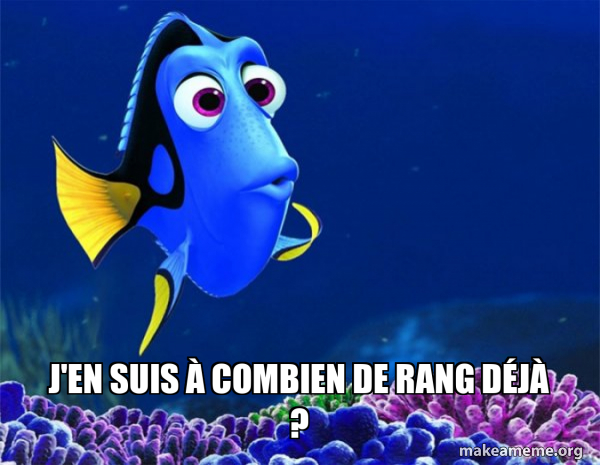 J'en suis à combien de rang déjà ? - Dory from Nemo (5 second memory ...