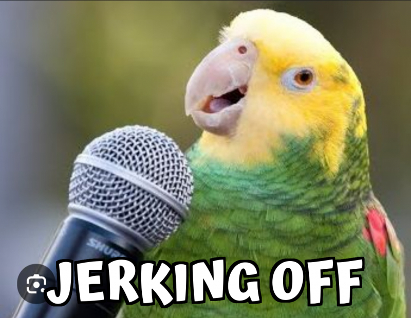 Jerking off Meme Generator