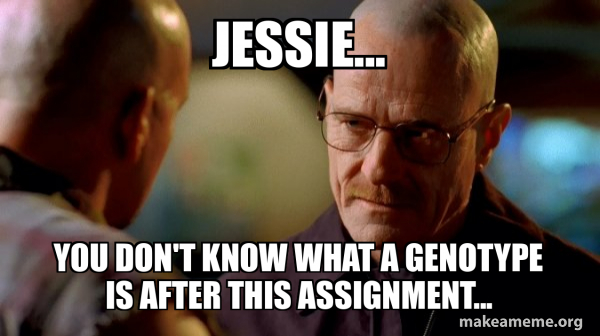 Jessie... You don't know what a genotype is after this assignment ...