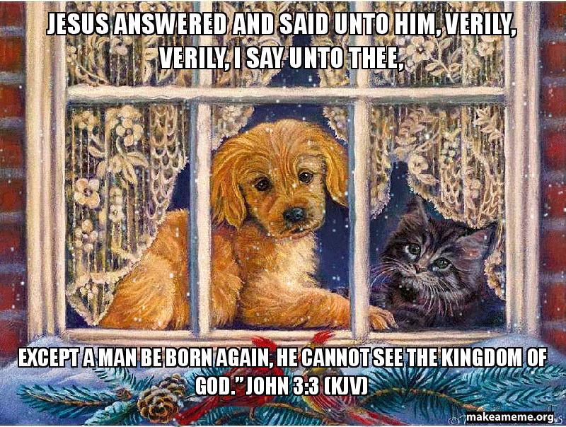 Jesus answered and said unto him, Verily, verily, I say unto thee ...