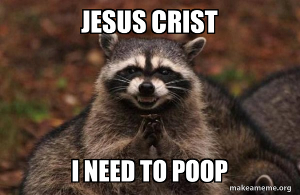 jesus crist i need to poop - Evil Plotting Raccoon Meme Generator