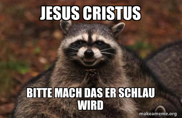jesus cristus bitte mach das er schlau wird - Evil Plotting Raccoon ...