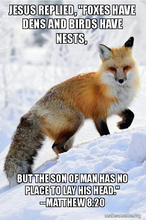 Jesus replied, "Foxes have dens and birds have nests, but the Son of ...