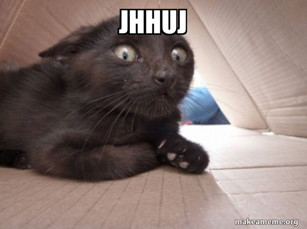 jhhuj - Schitzo Cat Meme Generator