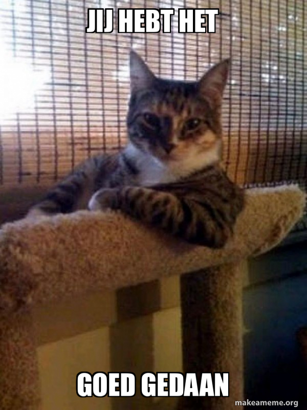 jij hebt het goed gedaan - The Most Interesting Cat in the World Meme ...