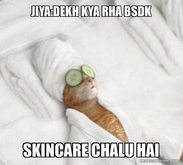 jiya:dekh kya rha bsdk skincare chalu hai - Pampered Cat Meme Meme ...
