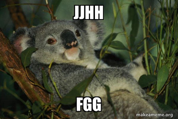 jjhh fgg - Laid Back Koala Meme Generator