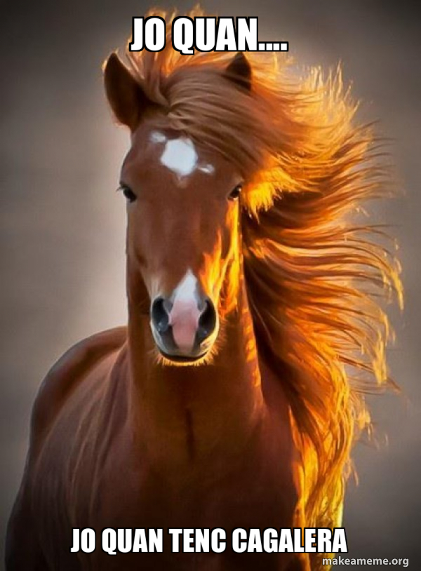 JO QUAN.... JO QUAN TENC CAGALERA - Ridiculously photogenic horse Meme ...