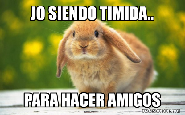 Jo siendo timida.. para hacer amigos - Regretful Rabbit Meme Generator