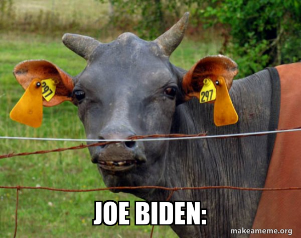 Joe Biden: - Hairless Cow Meme Generator