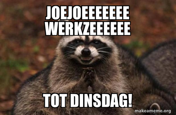 Joejoeeeeeee werkzeeeeee Tot dinsdag! - Evil Plotting Raccoon Meme ...