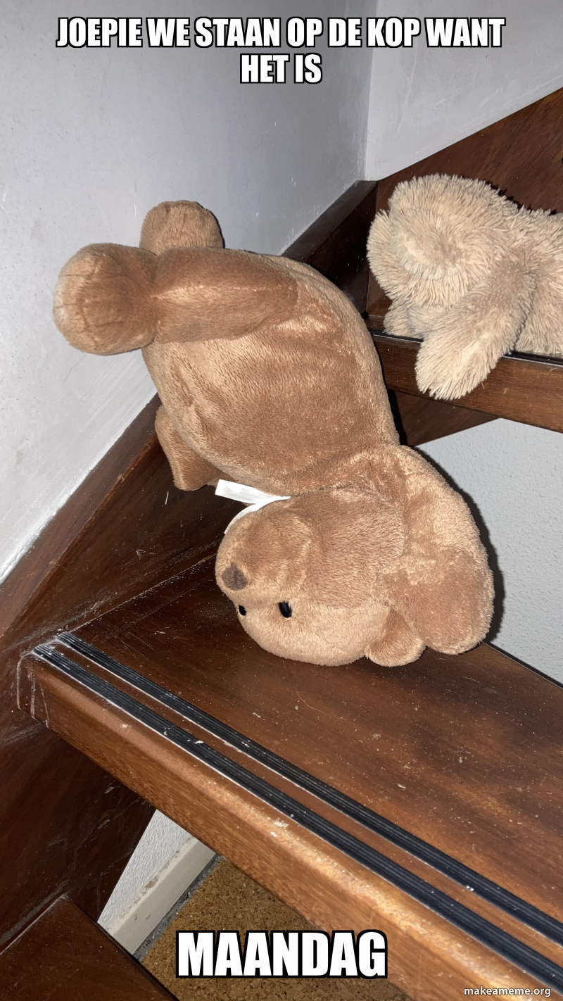Joepie we staan op de kop want het Is MAANDAG Meme Generator