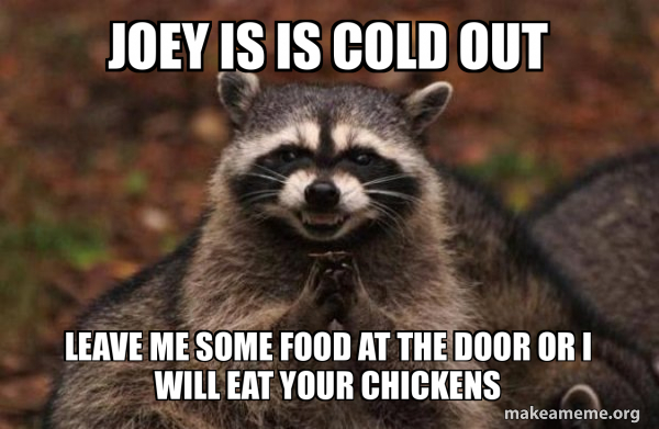 Joey is is cold out Leave me some food at the door or I will eat your ...
