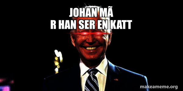 Johan mår han ser en katt - Dark Brandon Meme Generator