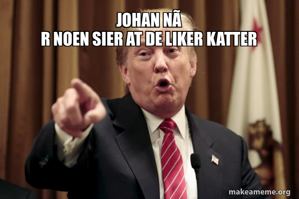 Johan når noen sier at de liker katter - Donald Trump Says Meme Generator