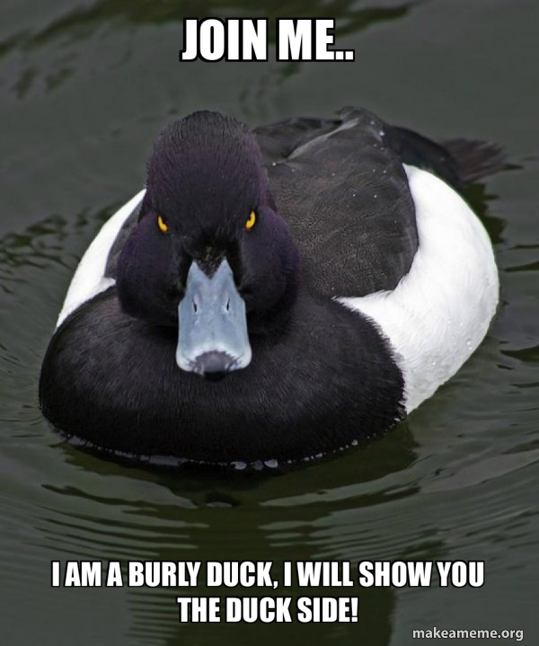 Join Me.. I am a Burly Duck, I will Show You the DUCK SIDE! - Revenge ...